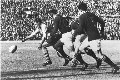 Classic Wallabies | News | Events | Bios